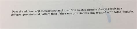 Solved Does The Addition Of B Mercaptoethanol To An Sds