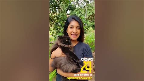 ඔයාලත් එන්න අපිත් එක්ක මකරෙක් බලන්න 24 එල්ෆින්ස්ටන් එකට Youtube