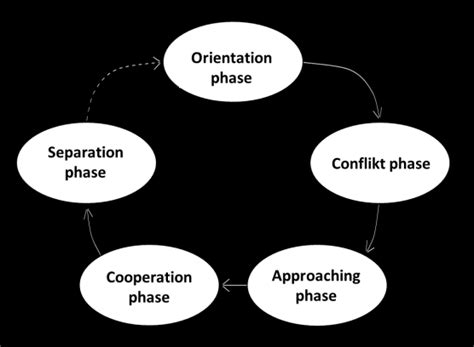 Different Phases Of A Project Download Scientific Diagram