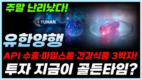 🔥유한양행 주가분석 렉라자 유럽 간다 금이 매수 타이밍 Youtube