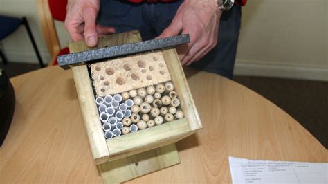 Types Of Bee Boxes At Elsie Tucker Blog