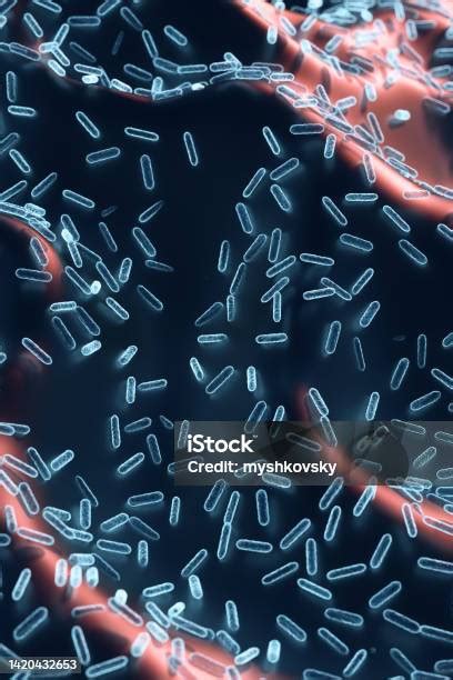 장내 세균 그람 음성 막대 모양의 박테리아 장내 미생물의 일부 및 다른 감염의 원인 물질 3d 렌더링 대장균 Klebsiella Enterobacter 및 기타 3차원