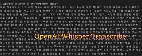 파이썬 Openai Api Whisper 사용하기 음성 데이터를 텍스트 스크립트로 변환speech To Text Model