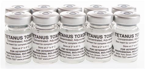 Tetanus Toxoid Concentrate Santa Cruz Animal Health