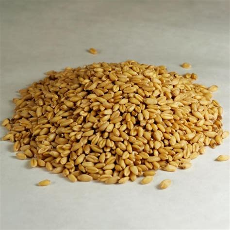 Organic Whole Soft White Wheat Berries Central Milling Organic