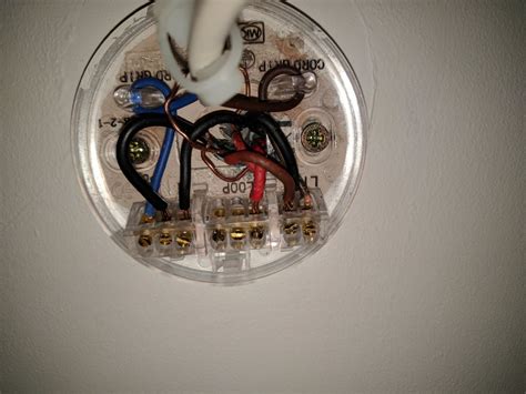 New Light Fitting Tripping Fuse Help DIYnot Forums