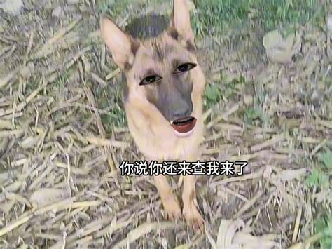 近水楼台先得月 涛哥玩配音 涛哥玩配音 哔哩哔哩视频