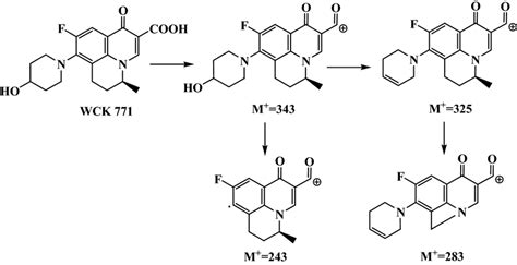 Mass Spectrometric Fragmentation Pathway Of Wck 771 Download Scientific Diagram