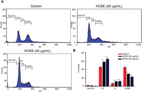 Effect Of Cell Cycle Distribution Of Hela Cells Exposed To Different
