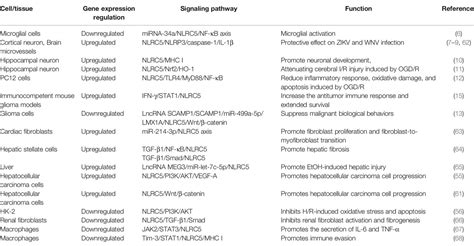 Frontiers Nlrc5 A Potential Target For Central Nervous System Disorders