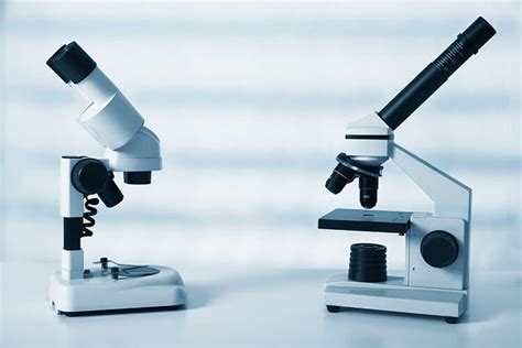 Microscope Parts What Does The Condenser Do On A Microscope