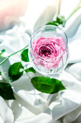 흰색 실크 패브릭에 분홍색 꽃 페트턴으로 채워진 와인 잔 최소한의 현대 정물 휴일 컨셉 발렌타인 또는 여성 데이 배경 디자인 0명에 대한 스톡 사진 및 기타 이미지 Istock