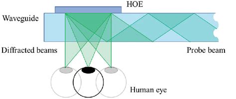 Schematic Diagram Of The Maxwellian Display Using An Hoe Attached Onto Download Scientific