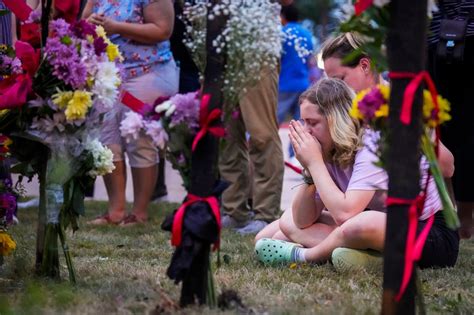 Francis Wilkinson The Gun Lobby Appears Invincible It Isnt