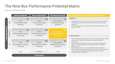 Employee Performance Potential Matrix Development Ppt 9 Box Grid