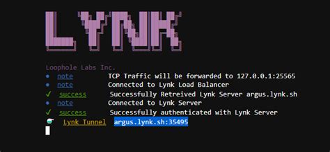 [bug] ngrok connection problems · issue 24 · thecoder 001 minecolab · github