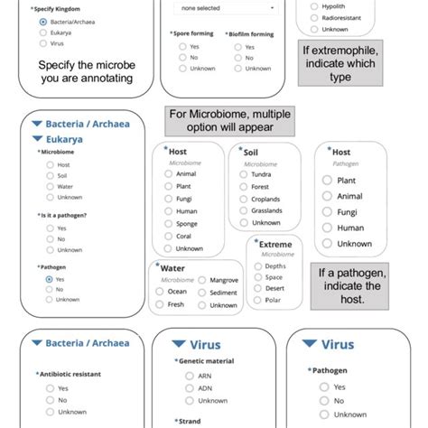Kobotoolbox Interface English Version The Survey Allows Users To
