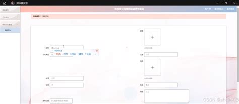 基于ssmvue传统文化传播网站设计与实现【开题程序论文】 Csdn博客