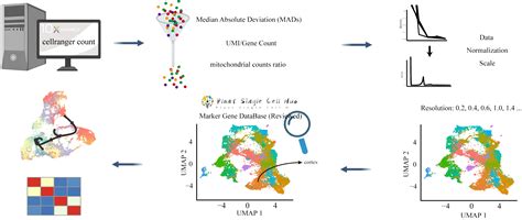 Plant Single Cell Hub Hzau