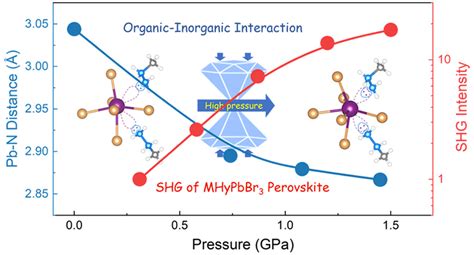 Pressure Modulated Anomalous Organicinorganic Interactions Enhance Structural Distortion And