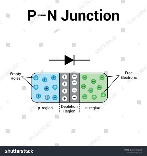 Pn Junction Diode Forward And Reverse Bias At Clayton Cooper Blog