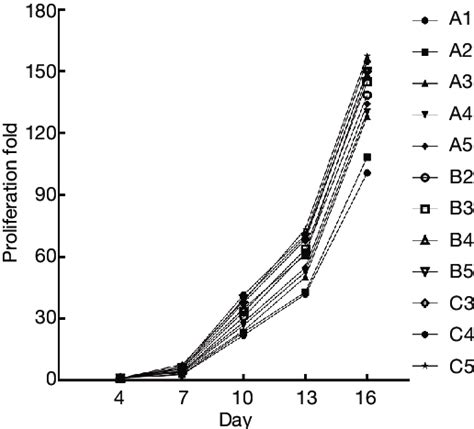 The Proliferation Curves Of Ciks In Different Experiment Groups
