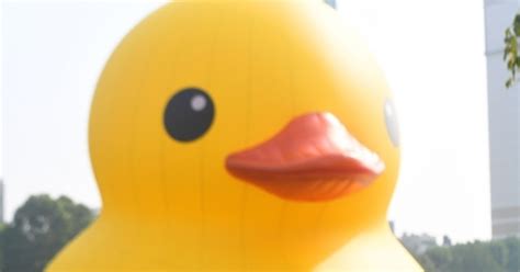 [포토] 데이트 코스의 성지 석촌호수 러버덕