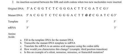solved original dna 5 a c g g t c t c g g g a t t c a a c