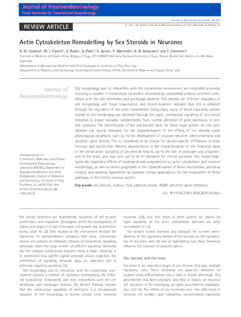 Pdf Actin Cytoskeleton Remodelling By Sex Steroids In Neurones