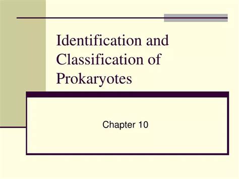 Ppt Identification And Classification Of Prokaryotes Powerpoint Presentation Id6879012
