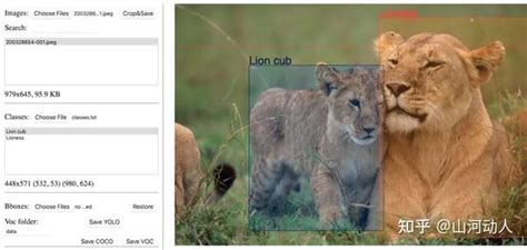 深度学习的目标检测简介 知乎