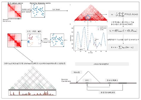 生物信息与智能医学 生物信息与智能医学中心团队在期刊Briefings in Bioinformatics发表论文