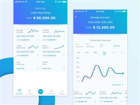 my account and account overview ui