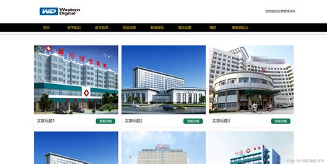 基于springboot宠物医院信息管理系统【java毕业设计·安装调试·代码讲解·文档报告】xznstatic Csdn博客