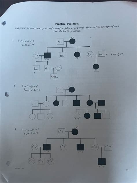 Solved Practice Pedigrees Determine The Inheritance Pattern Of Each Of 1 Answer