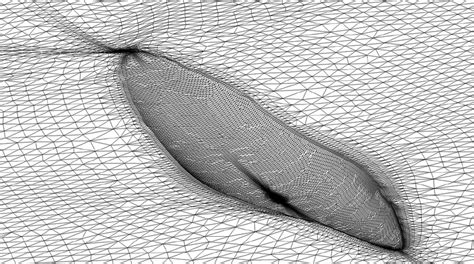 Detail Of The Final Boundary Mesh Used In The E0d0 Case Adapted