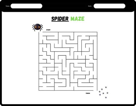 Anatomy Of A Spider Parts Of A Spider Labeled Diagram Coloring