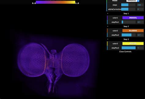 Github Valentina Swebglvolumerendering Webglvolumerendering Of