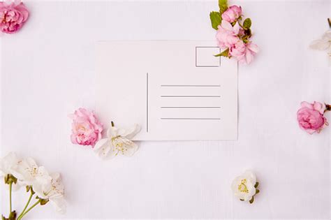 봄 핑크와 흰색 꽃과 주소 모의 장소와 엽서 초대 낭만적 인 결혼식 생일 어머니의 날 카드 개념 공간을 복사합니다 위쪽 보기 엽서에 대한 스톡 사진 및 기타 이미지 Istock