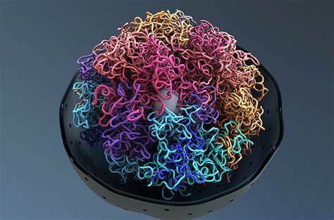 Enhancer Promoter Interactions Distance Matters Newsmyscience News News 2022