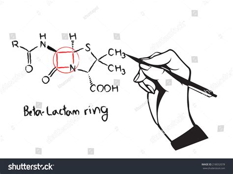 Beta Lactam Ring Penicillin Chemical Structure Stock Vector 218032078