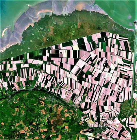 Ndvi Meaning And Interpretation Boost Crop Health Now