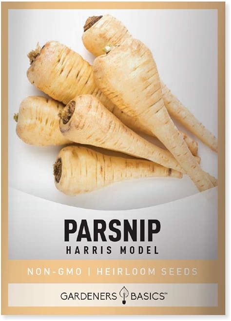 Gardeners Basics Parsnip Seeds For Planting Harris