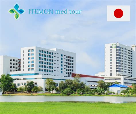 Itemon 🌟 Яагаад Үүдэл эсийн эмчилгээг Stem Cell Therapy Япон улсад хийлгэх хэрэгтэй вэ 🌟 🔬