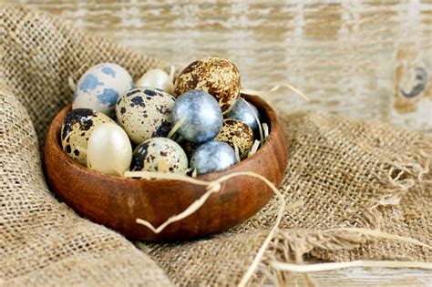 소박한 배경을 담그고 나무 그릇에 누워 있는 메추라기 달걀 모틀리 색칠 은색 흰색 사탕 부활절과 음식의 개념 가금류에 대한 스톡 사진 및 기타 이미지 Istock