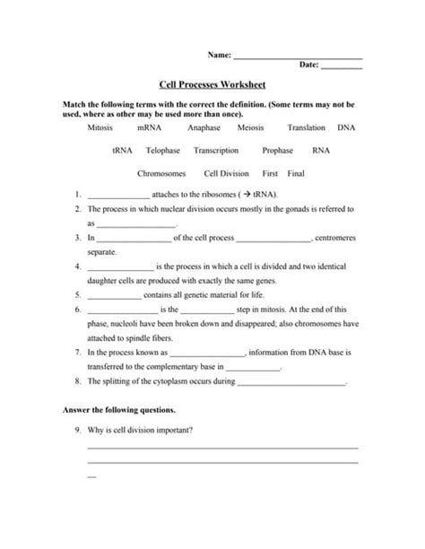ESL Biology Cell Size Worksheet Made By Teachers Worksheets Library