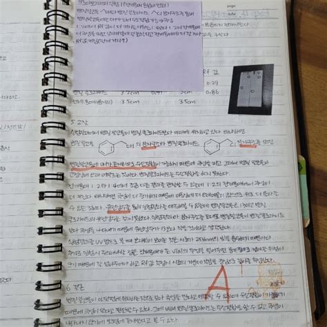 대학교 레포트 쓰는법 이 글만 읽으면 A 가능 네이버 블로그