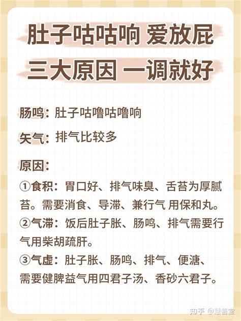 肚子咕咕响、爱放屁，可能是这三个原因—慧善堂 知乎