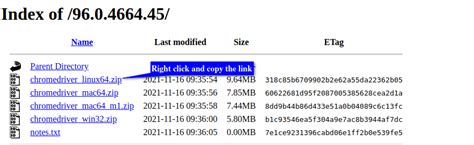 Install Selenium On Ubuntu Debian With A ChromeDriver For Python