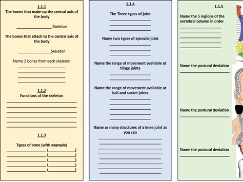Gcse Pe Revision Skeletal System Teaching Resources
